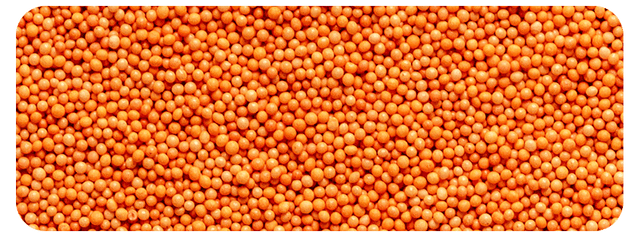 SPRINKLY | UK Supplier of Premium Sprinkles