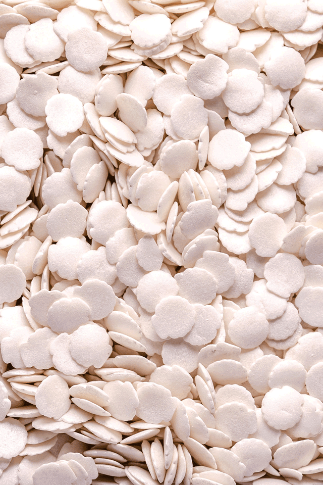 Sprinkle Shapes - Seashell 🐚 | SPRINKLY.co.uk